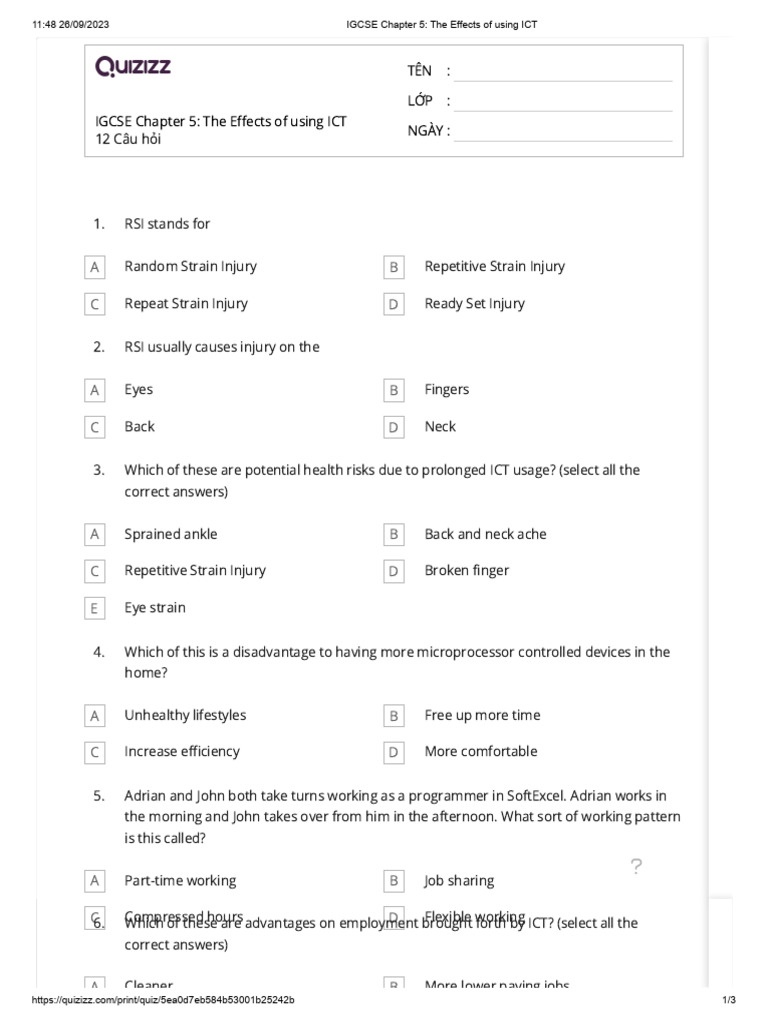 IGCSE Chapter 5_ The Effects of using ICT | PDF