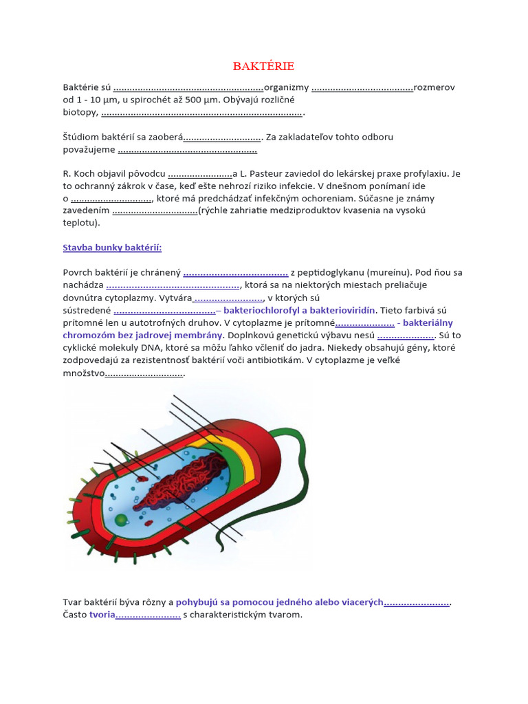 Bakterie, Prac - List Å Iaci | PDF