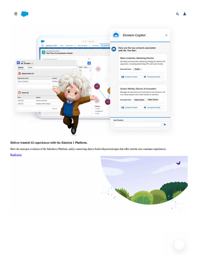 Salesforce | PDF