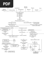 Pathway Hipertensi | PDF