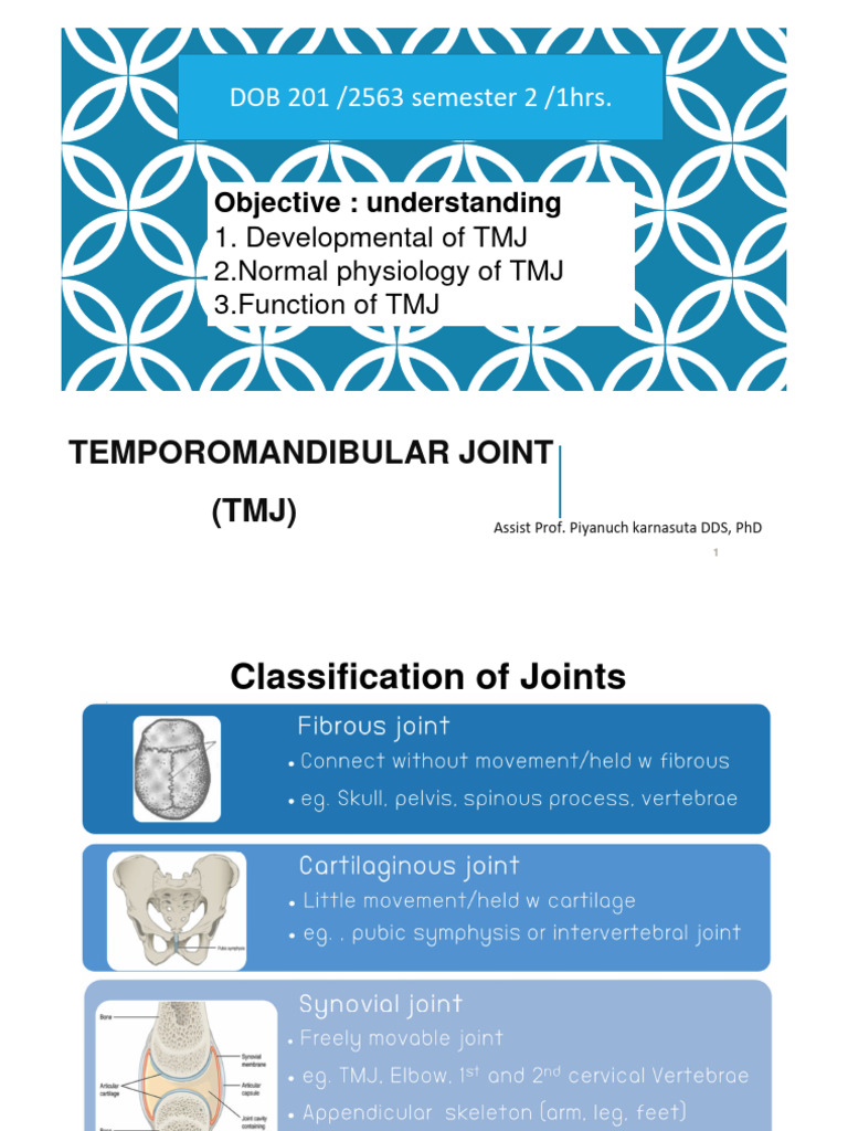 Temporomandibular Joint (TMJ) : DOB 201 /2563 Semester 2 /1hrs ...