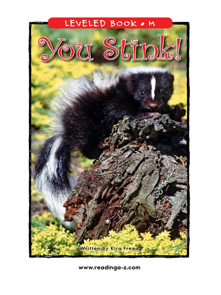 You Stink! | PDF