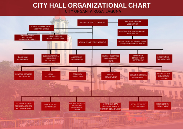 Org Chart | PDF