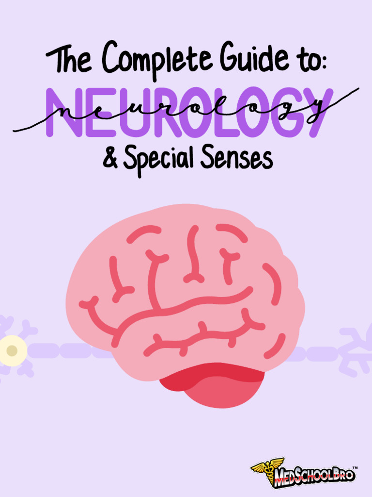 Neurology Overview and Key Concepts | PDF | Diseases And Disorders ...