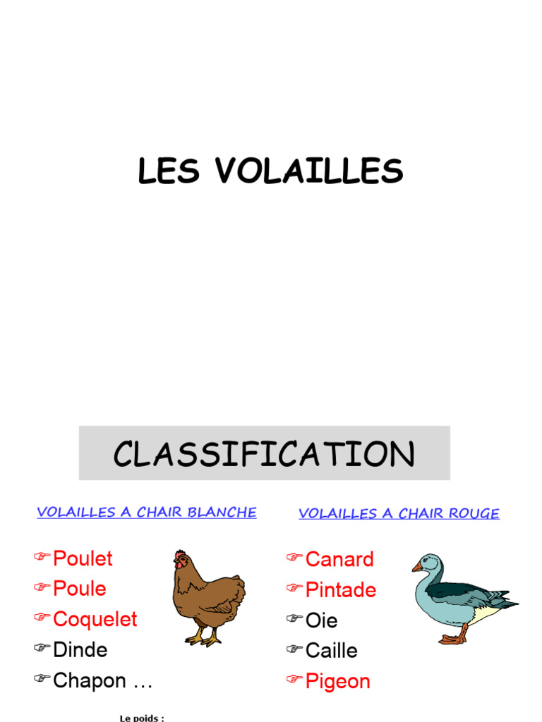 Classification des Volailles et Qualité | PDF | Volailles | Viande