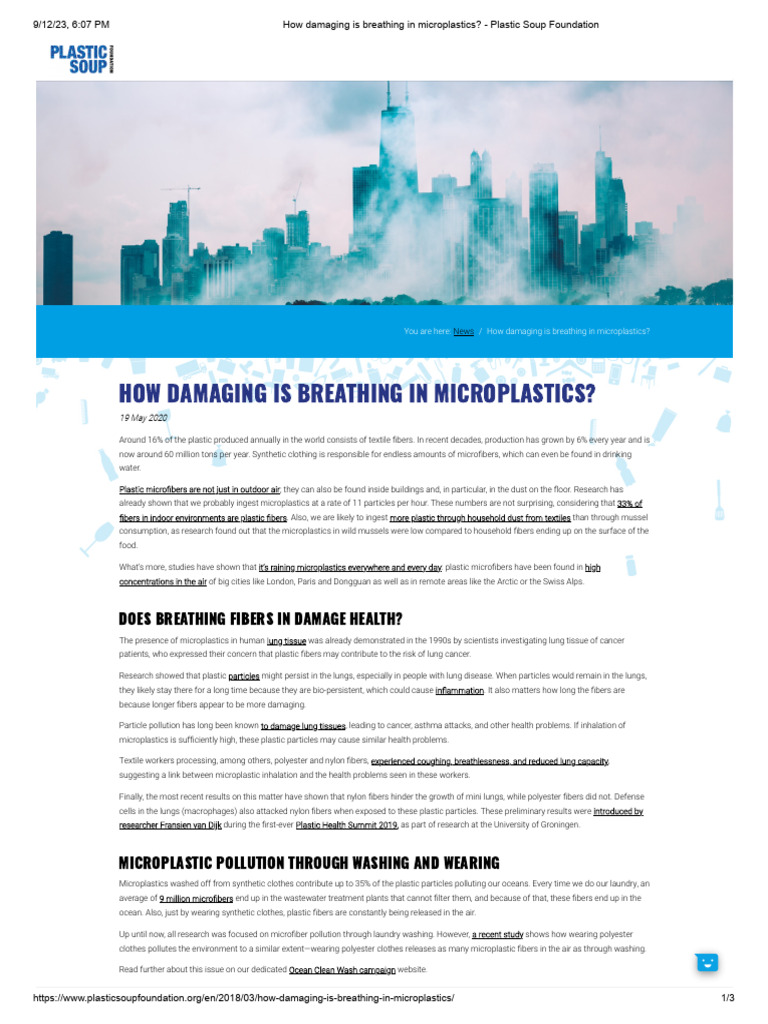How Damaging Is Breathing in Microplastics - Plastic Soup Foundation | PDF | Public Health ...