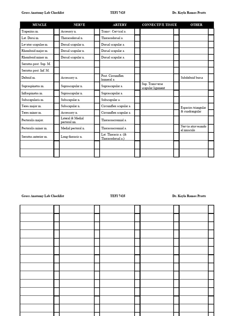 Gross Anatomy Lab Checklist | PDF
