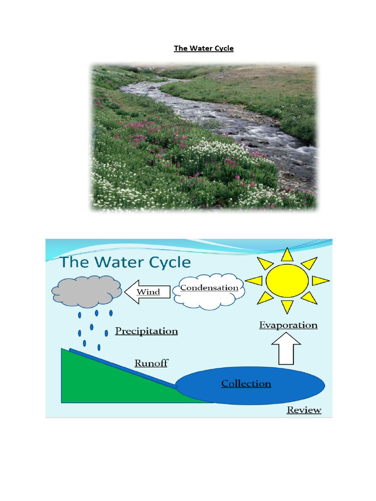 The Water Cycle Explained | PDF | Science & Mathematics