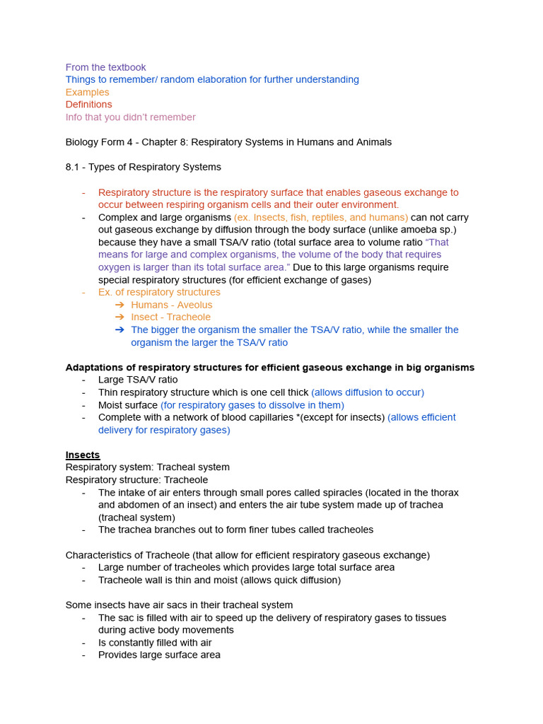 Bio F4 - CH 8 | PDF | Respiratory System | Lung