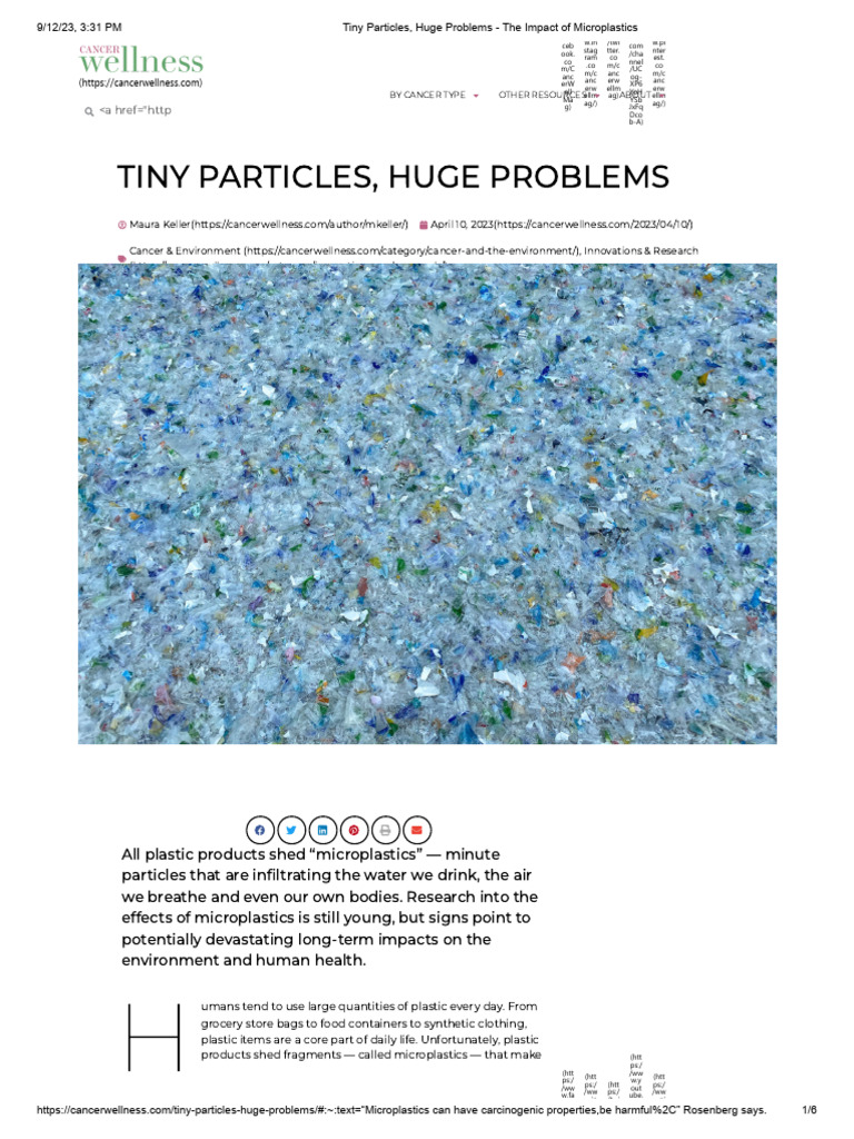 Tiny Particles, Huge Problems - The Impact of Microplastics | PDF
