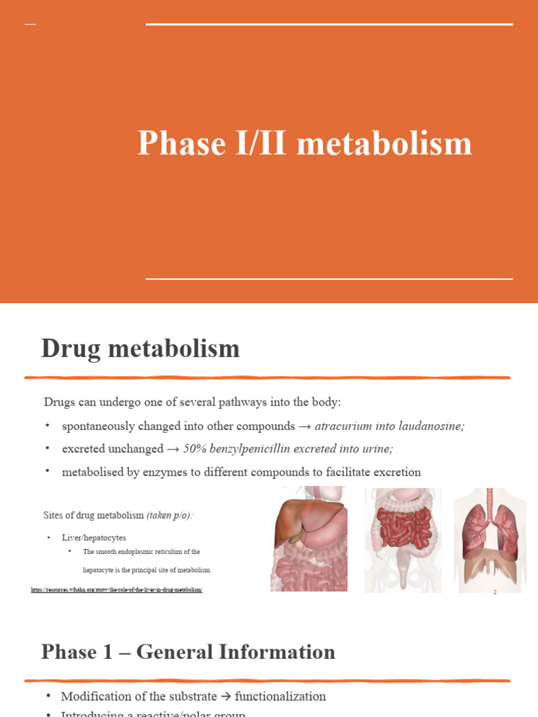 Phase I II Metabolism | PDF | Drug Metabolism | Cytochrome P450