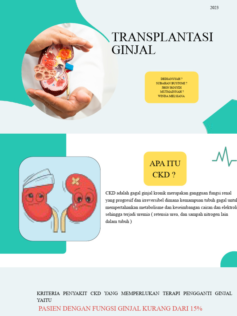 Transplantasi Ginjal - 2023 | PDF
