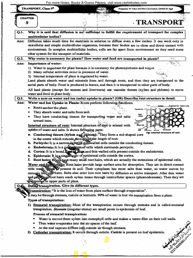 9th Bio Ch#9 by Tahir | PDF | Plants | Root