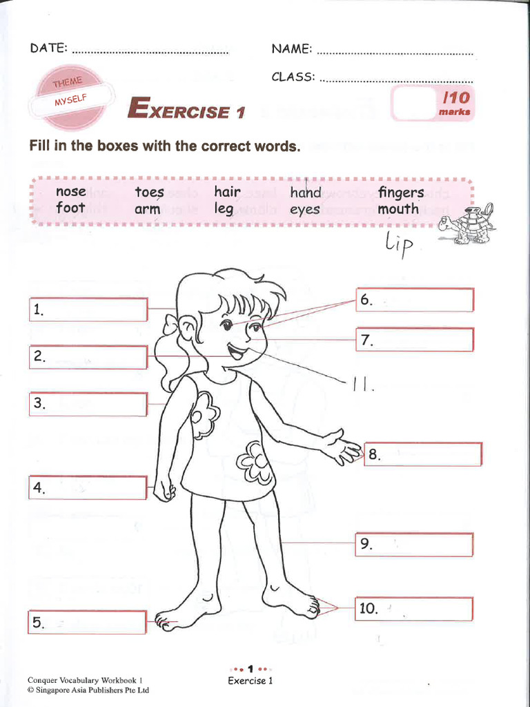 Exercise 1-10 English | PDF