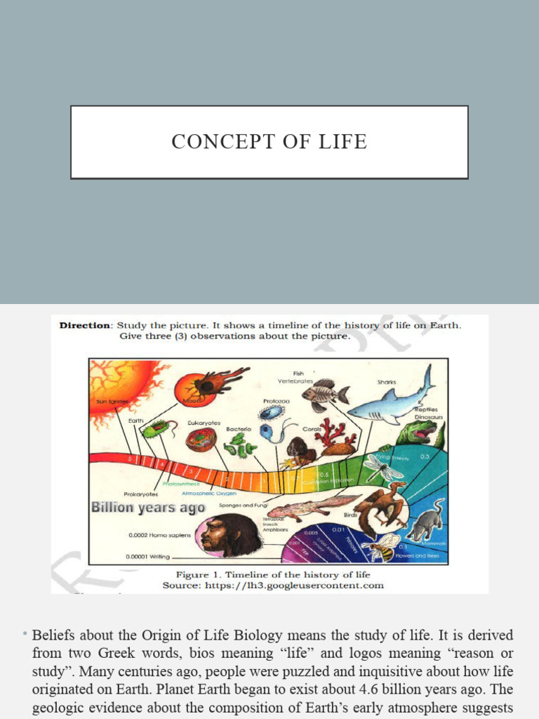 Concept of Life | PDF | Abiogenesis | Life