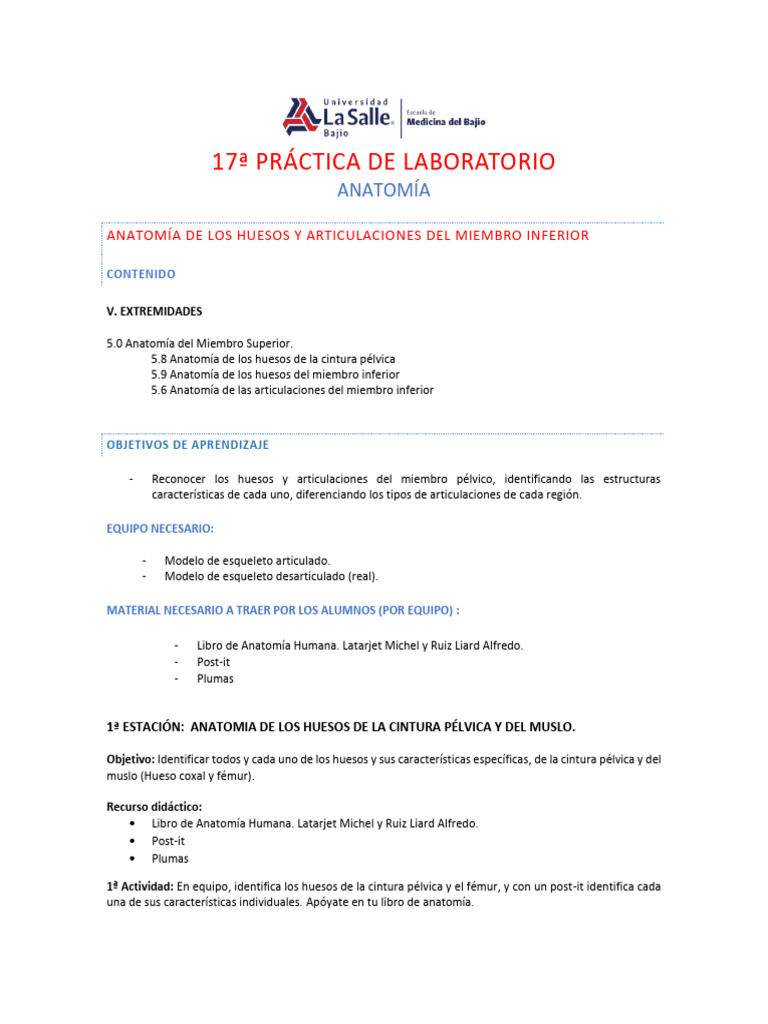 17a Práctica Lab Anatomia de Huesos y Articulaciones Del Miembro ...