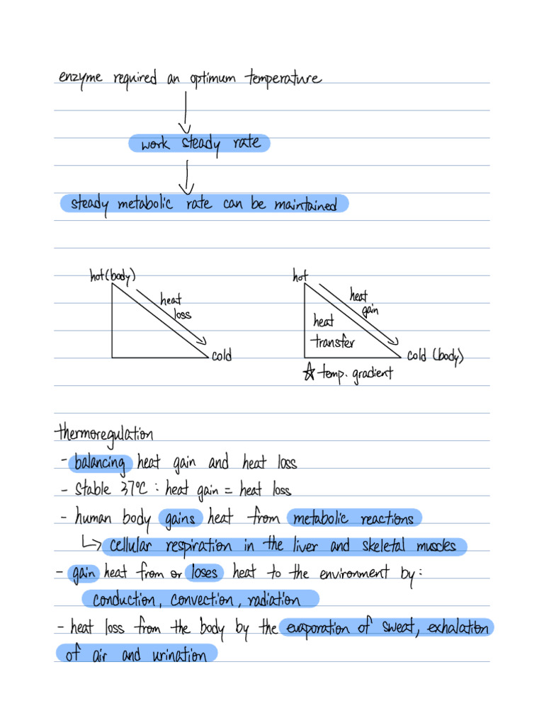 Regulation of Body Temperature Ch32 | PDF | Science & Mathematics