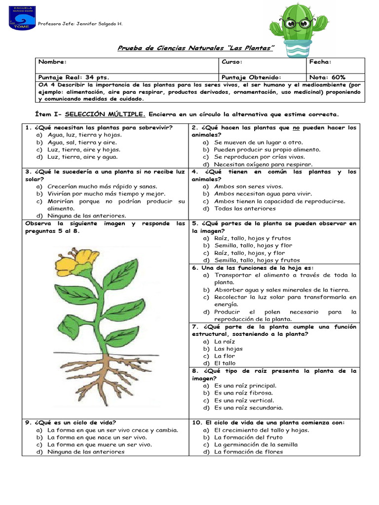 Prueba de Ciencias Naturales: Las Plantas | PDF | Flores | Plantas