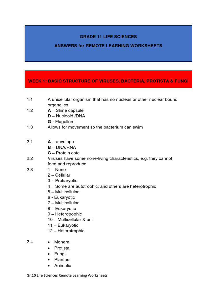 05 ANSWERS Remote Learning Worksheets Weeks 1 3 | PDF | Immunity ...