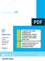 Nucleic Acid | PDF | Nucleotides | Nucleic Acids