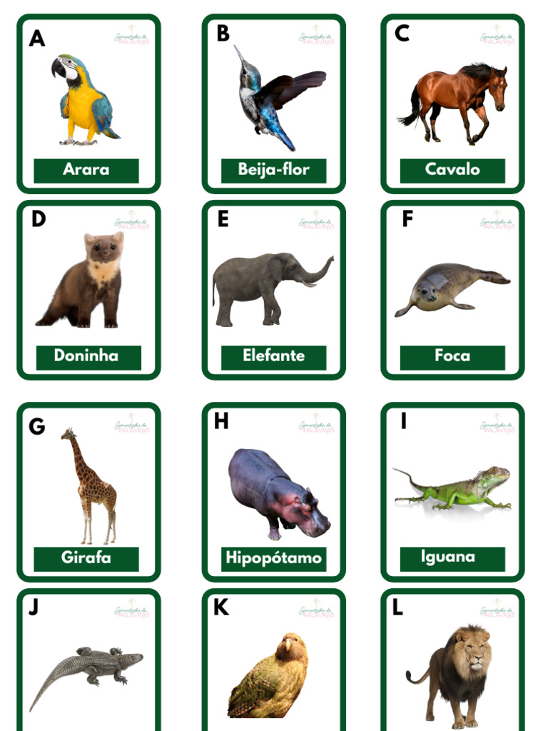 Alfabeto Dos Animais (1) | PDF