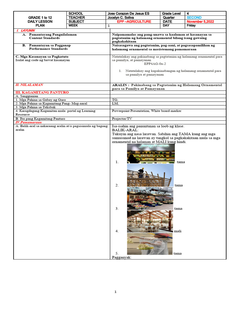 DLP EPP4 Q2 L2 Mga Pakinabang Sa Pagtatanim NG Halamang Ornamental | PDF