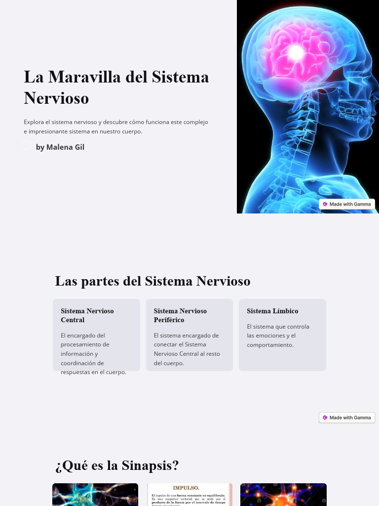 La-Maravilla-del-Sistema-Nervioso | PDF | Sinapsis | Sistema nervioso