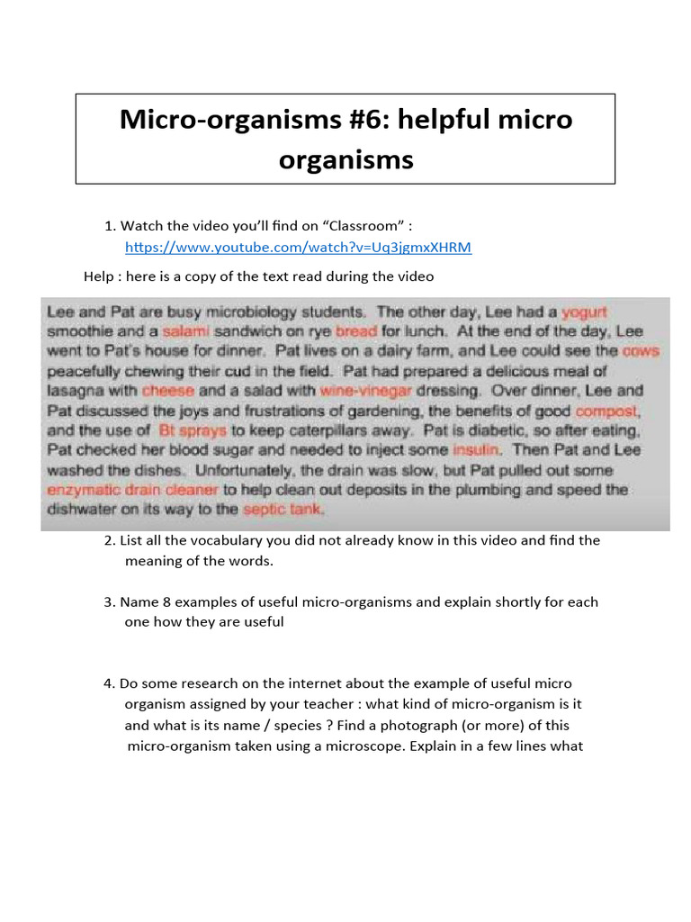 Activity 6 Helpful Microbes | PDF