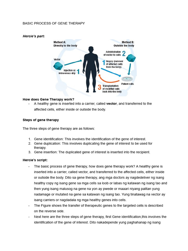Overview of Gene Therapy Process | PDF | Viral Vector | Gene