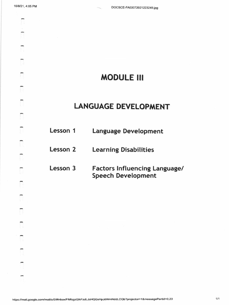 EDUC 101 Module 3 | PDF | Vocabulary | Speech