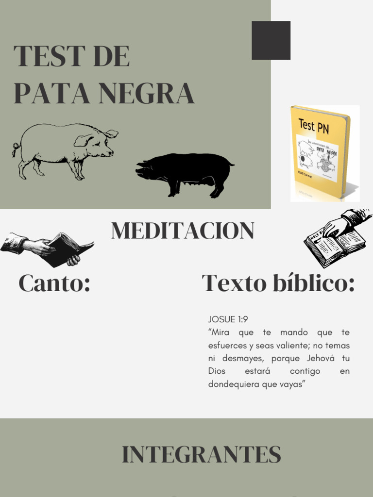 Test Pata Negra | PDF