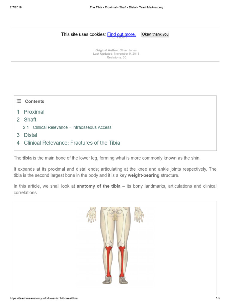 The Tibia - Proximal - Shaft - Distal - TeachMeAnatomy | PDF | Knee ...