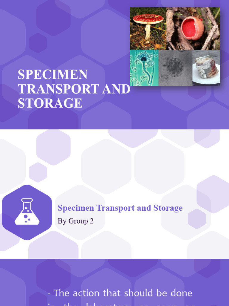 Specimen Transport and Storage Guide | PDF | Refrigerator | Medical ...