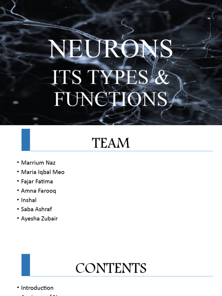 Neurons | PDF | Wellness | Science & Mathematics