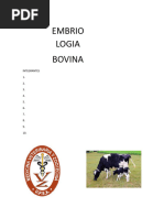 Atlas del Desarrollo Embrionario del Perro | PDF | Embrión | Procesos ...