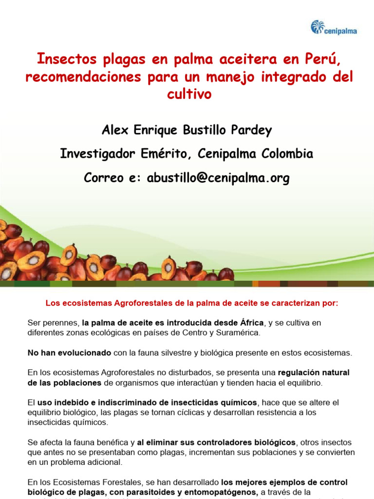 Insectos Plagas en Palma Aceitera en Perú, Recomendaciones para Un ...