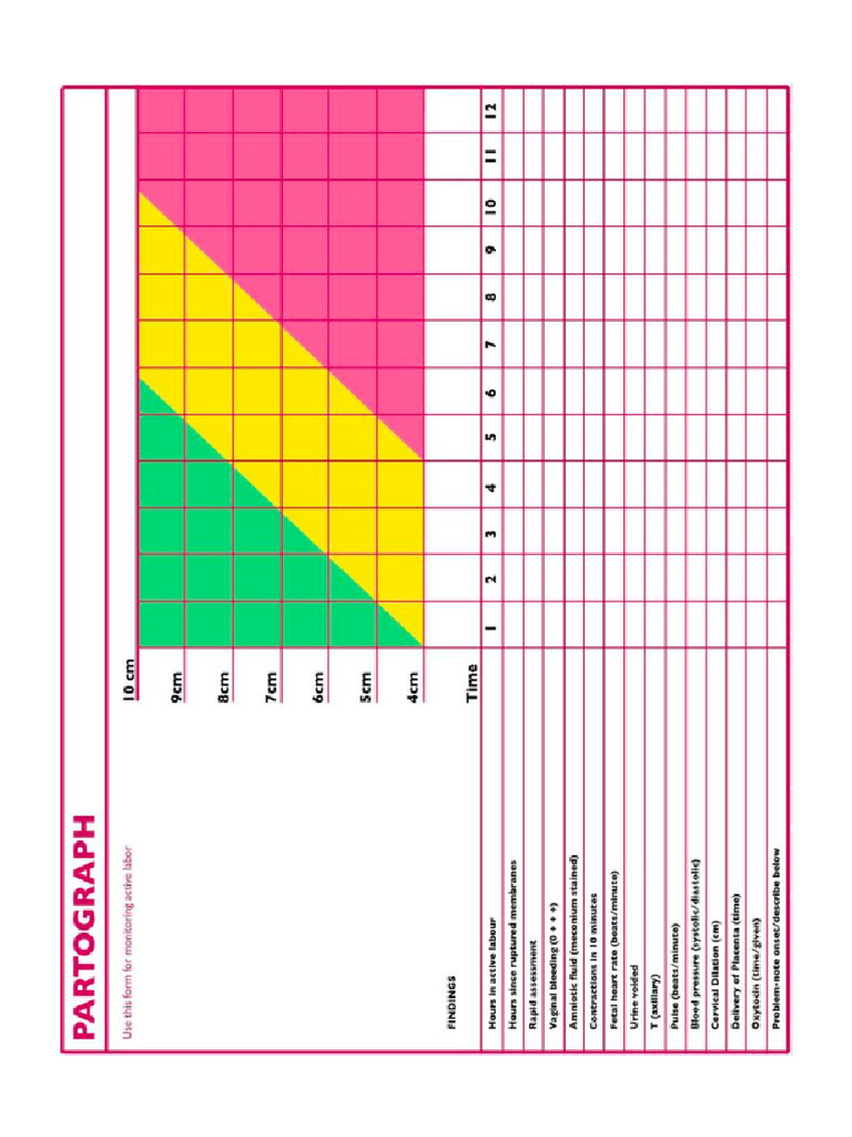 2 Partograph Form | PDF
