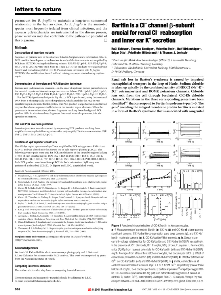 Barttin Is A CL - Channel B-Subunit Crucial For Renal CL - Reabsorption ...