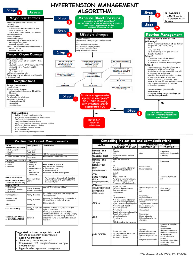 SAHS HT Management Algorithm Medical Practitioner 2015 | PDF | Diabetes ...