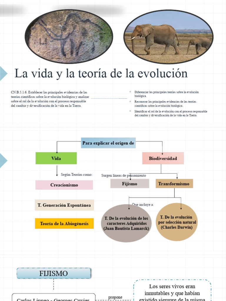 2r_teorias de La Evolucion | PDF | Evolución | Seleccion natural