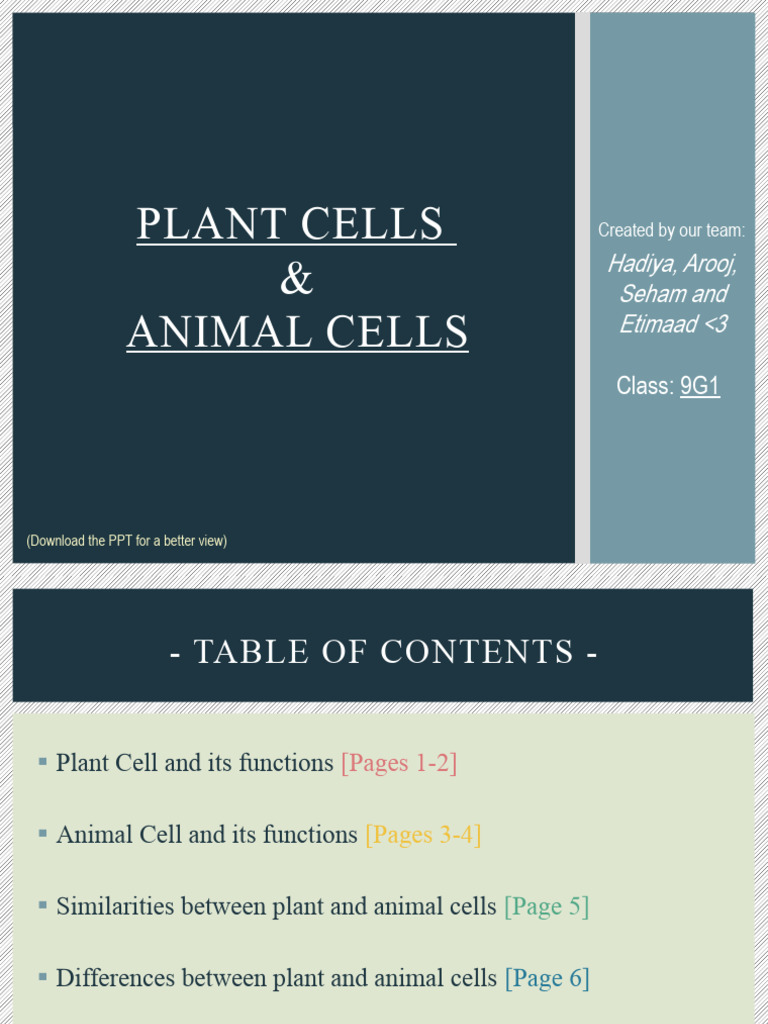 Biology PROJECT (Plant and Animal Cells) | PDF | Biology | Life Sciences
