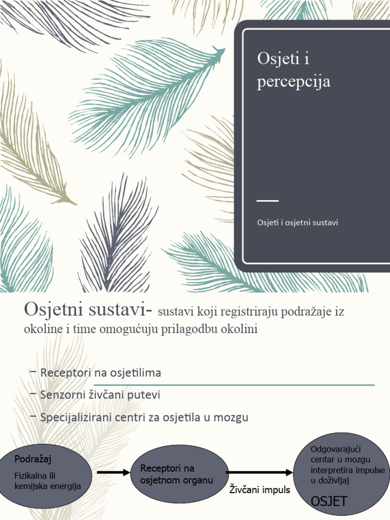 Osjeti I Percepcija Novi Kurikul | PDF
