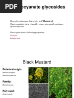 Drug Monograph Example | PDF | Medical Treatments | Health Care