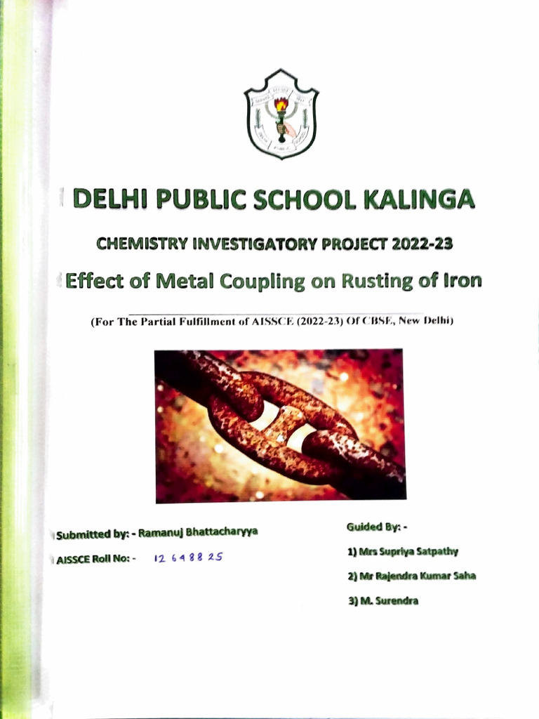 Chemistry Project | PDF | Rust | Corrosion