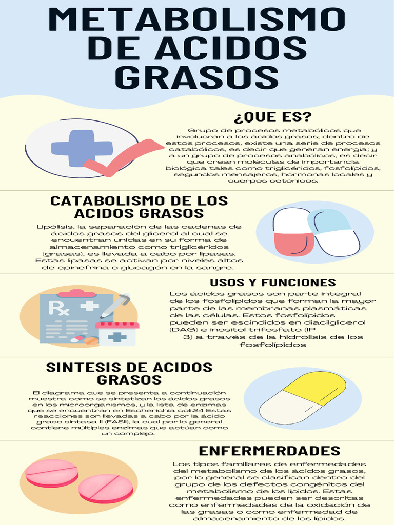 Metabolismo de Los Acidos Grasos | PDF | Metabolismo | Lípido