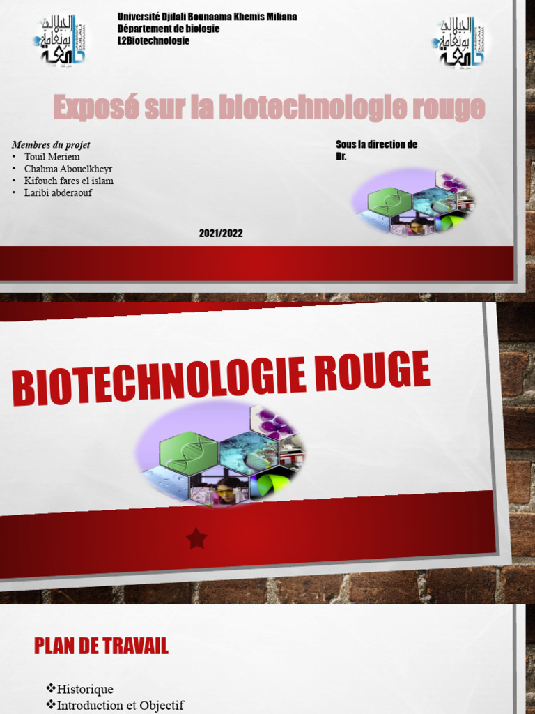 Exposé sur la Biotechnologie Rouge | PDF | Réaction en chaîne par polymérase | Puce à ADN