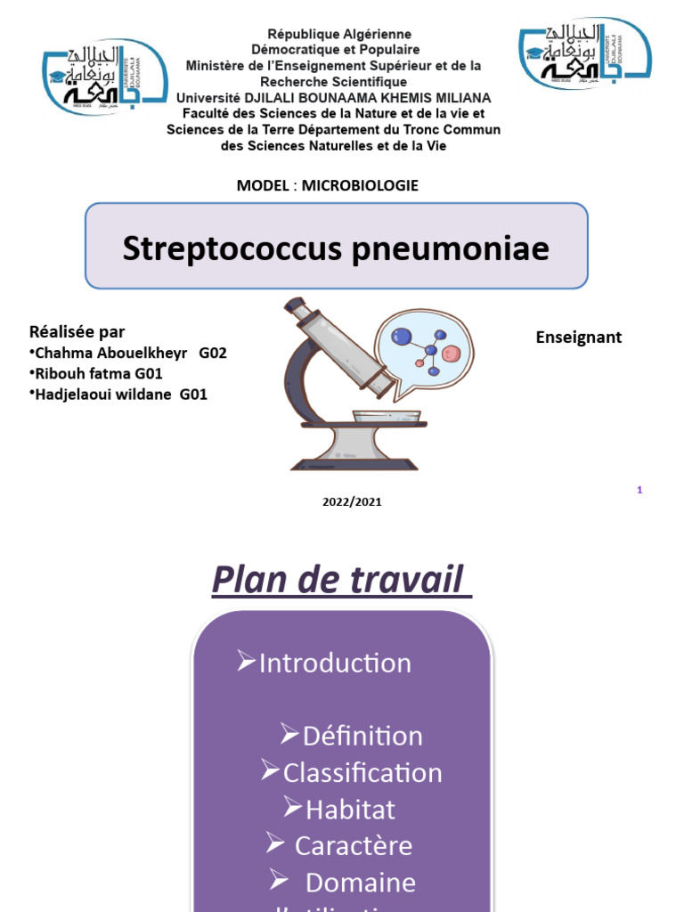 Streptococcus pneumoniae : Caractéristiques et Impact | PDF ...