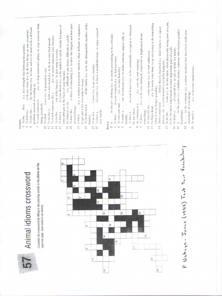 Animal Idioms Crossword | PDF