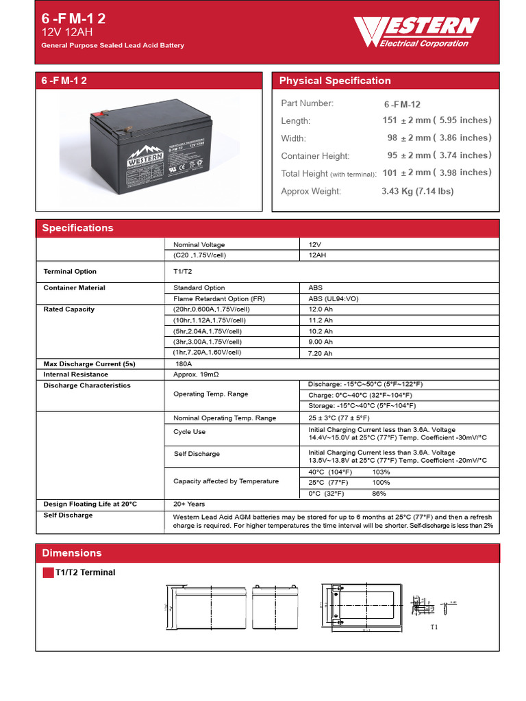 6 FM 12 | PDF | Rechargeable Battery | Electricity
