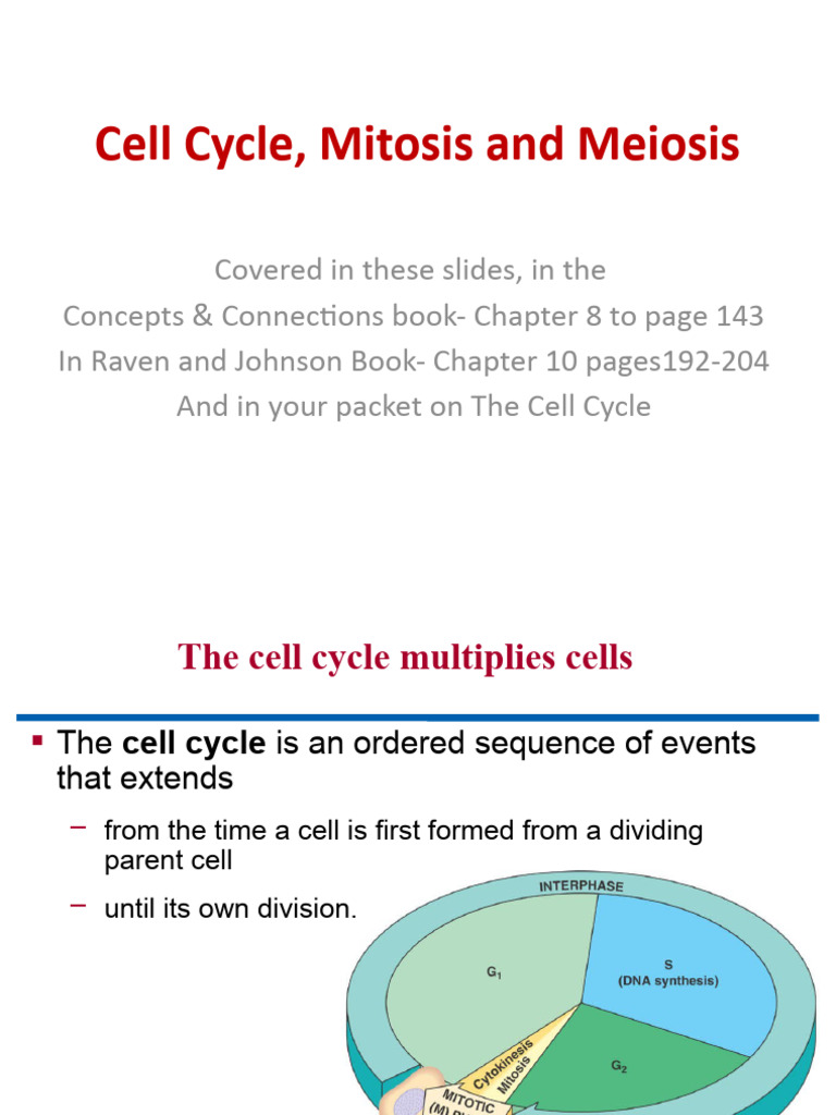 Cell Cycle, Mitosis and Meiosis | PDF | Meiosis | Cell Cycle